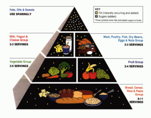 From Food Pyramid to Pinggang Pinoy: A History of Our Changing Diet ...